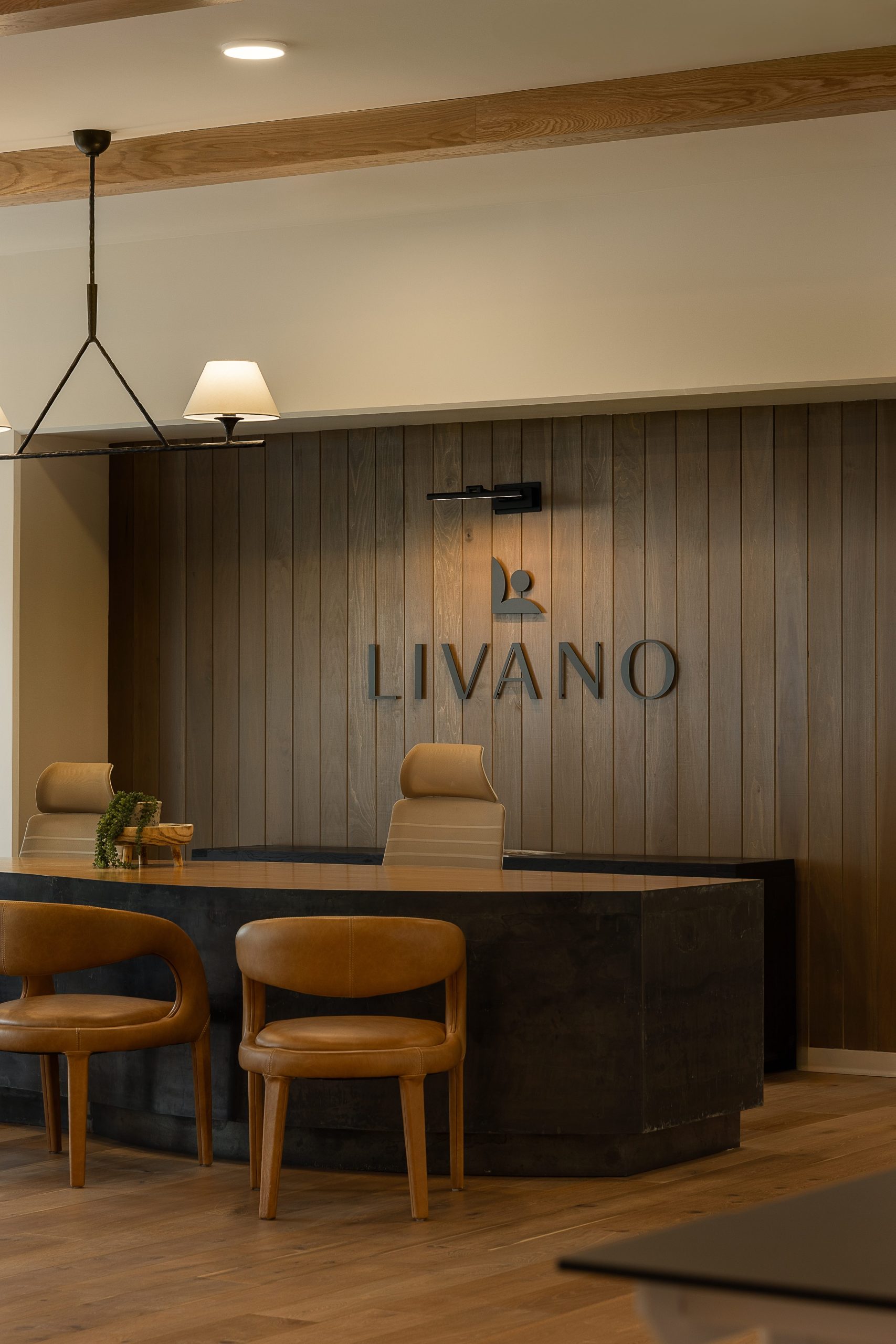 Case Study: Livano Oakwood - LIV Development LLC